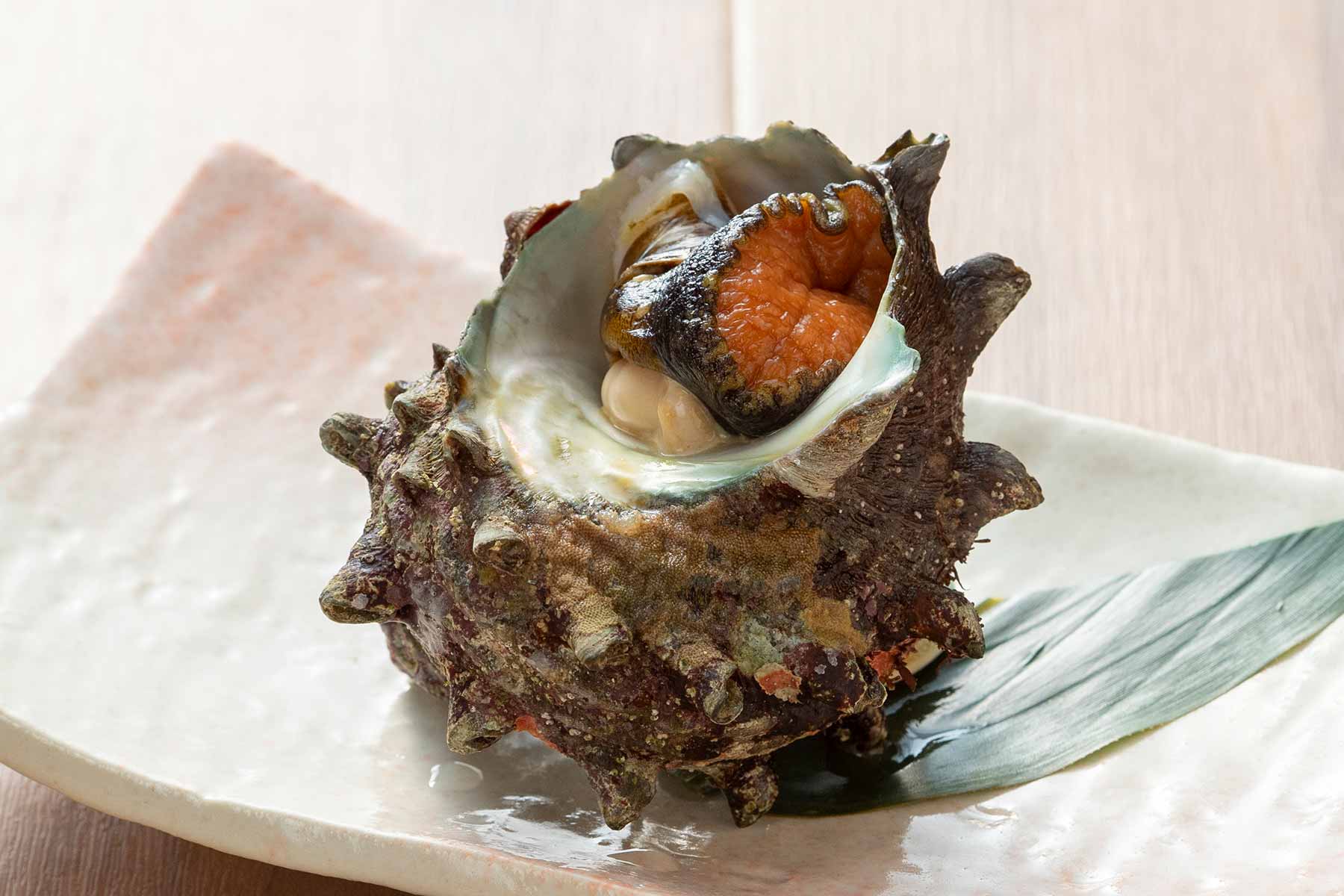 居酒屋メニュー - 均一海鮮居酒屋【公式】志なのすけ京橋店